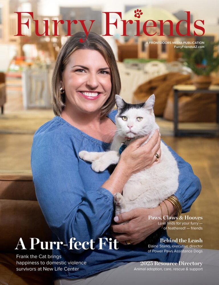 Warren’s Brings the Wow to Chandler - Frontdoors Media